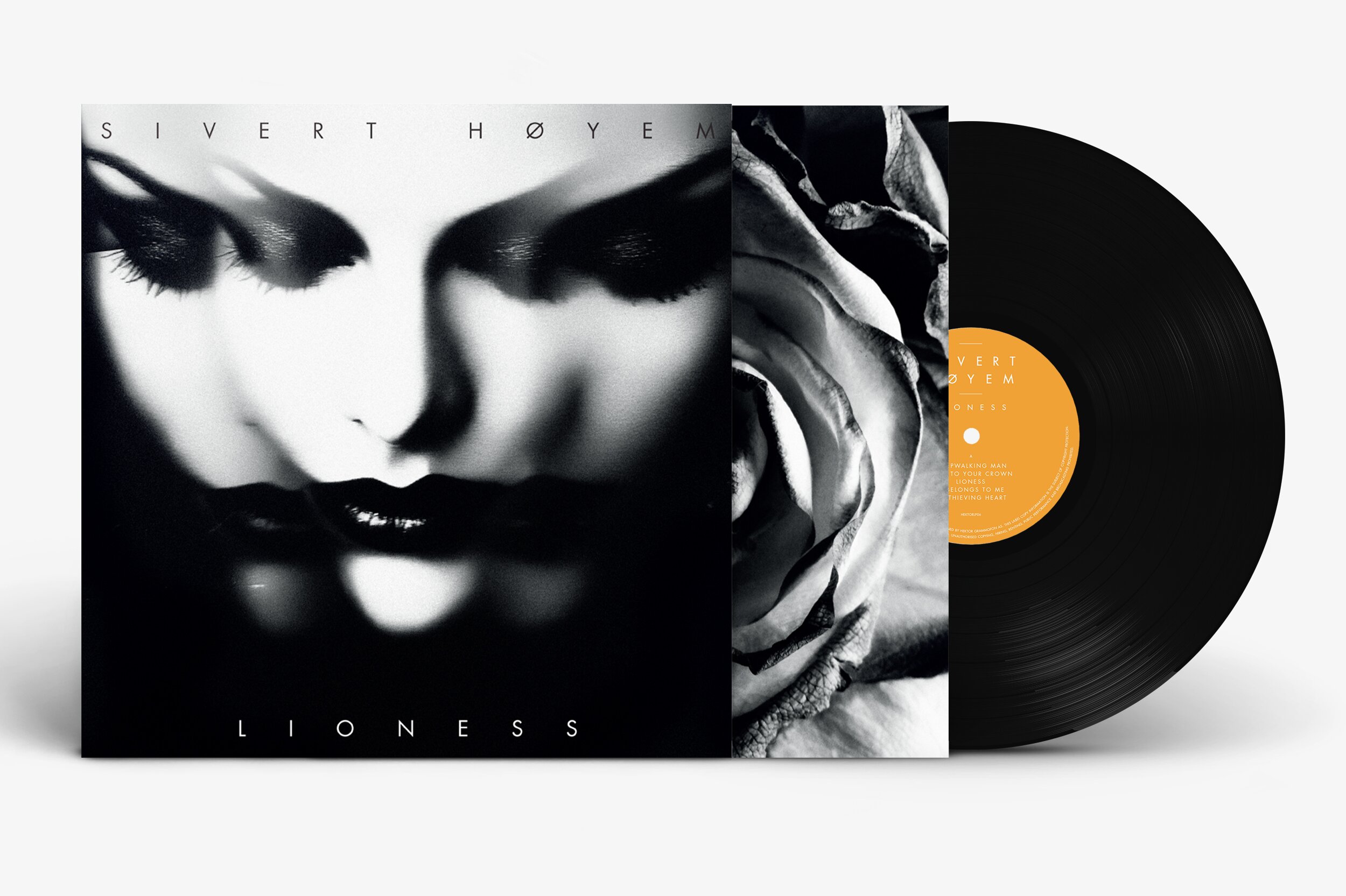 Sivert Høyem «Lioness» - Trine + Kim Designstudio